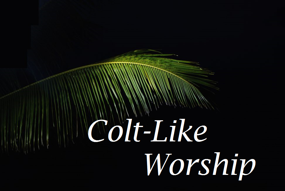 4 Lessons on Colt-Like Worship | williamstricklandblog.com
