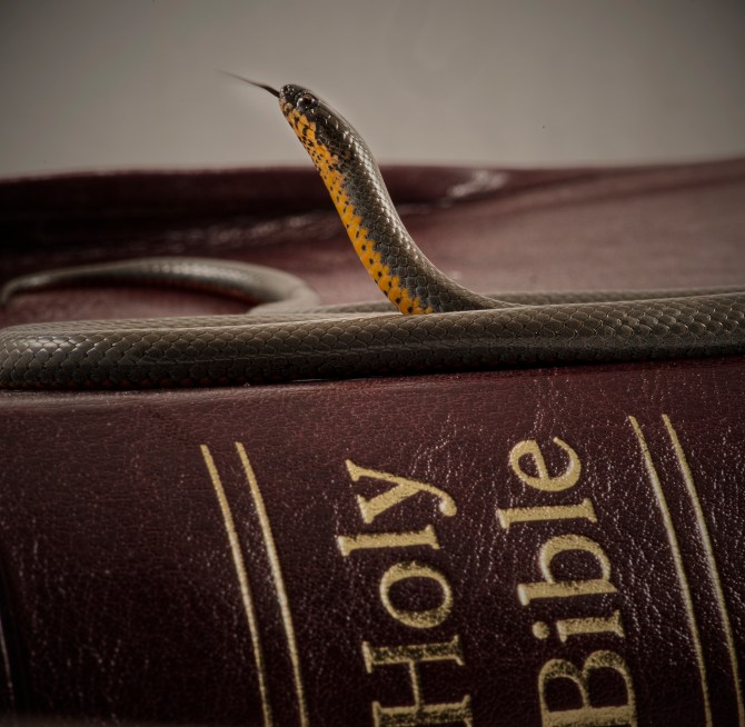 4 Horrible Lies The Devil Is Pushing | williamstricklandblog.com