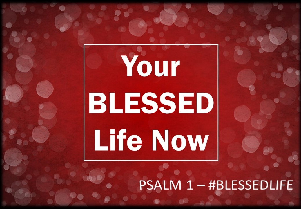 Your BLESSED Life Now | williamstricklandblog.com