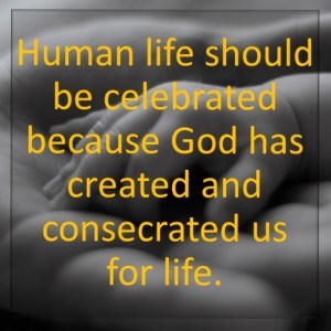 2 Reasons Why HUMAN Life Matters | williamstricklandblog.com
