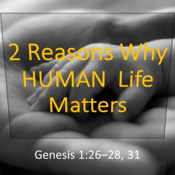 2 Reasons Why HUMAN Life Matters | williamstricklandblog.com